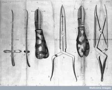 The Stone, the Knife, and the Radish: Discovering Medicines – Early ...